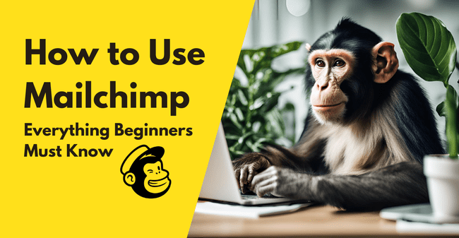 How to Use Mailchimp: Everything Beginners Must Know (2024)